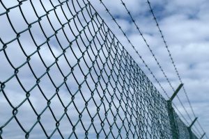 Best Wire Mesh Price in Ghana for Any Pocket